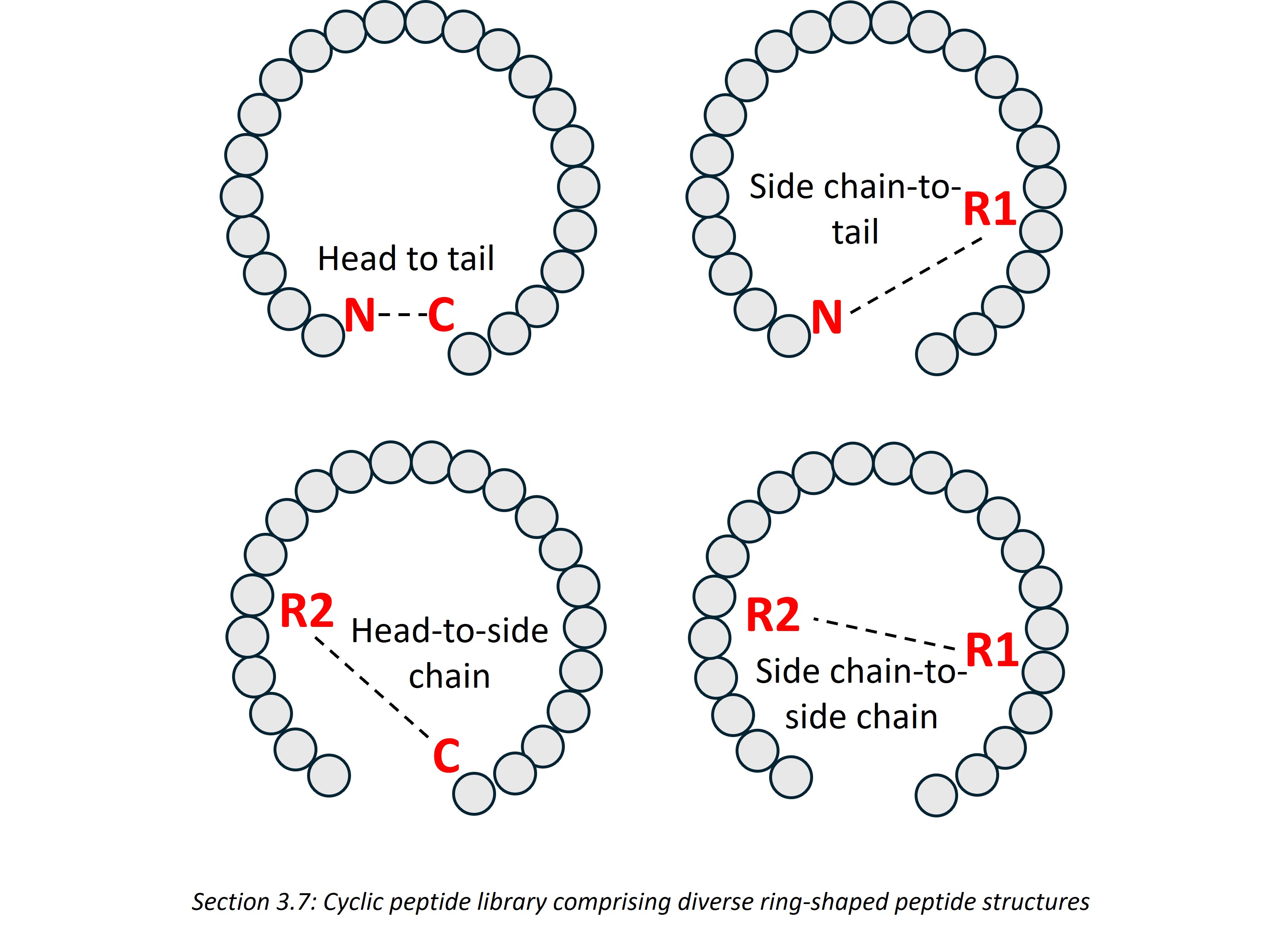 Synthetic Peptide Libraries: Unlocking New Possibilities in ...